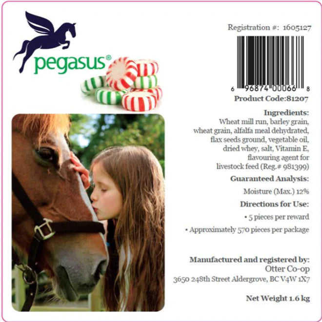 Pegasus - Horse Treat Cube - 1.6kg – Hashbrowns Homestead Supplies