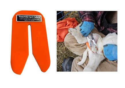 TestiGrip Mini - Castration Aid (Lamb/Kid) – Hashbrowns Homestead Supplies